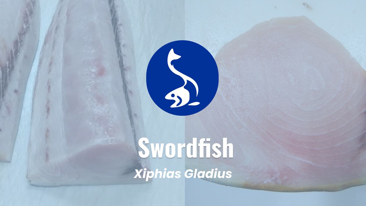 Swordfish | PT Chen Woo Fishery